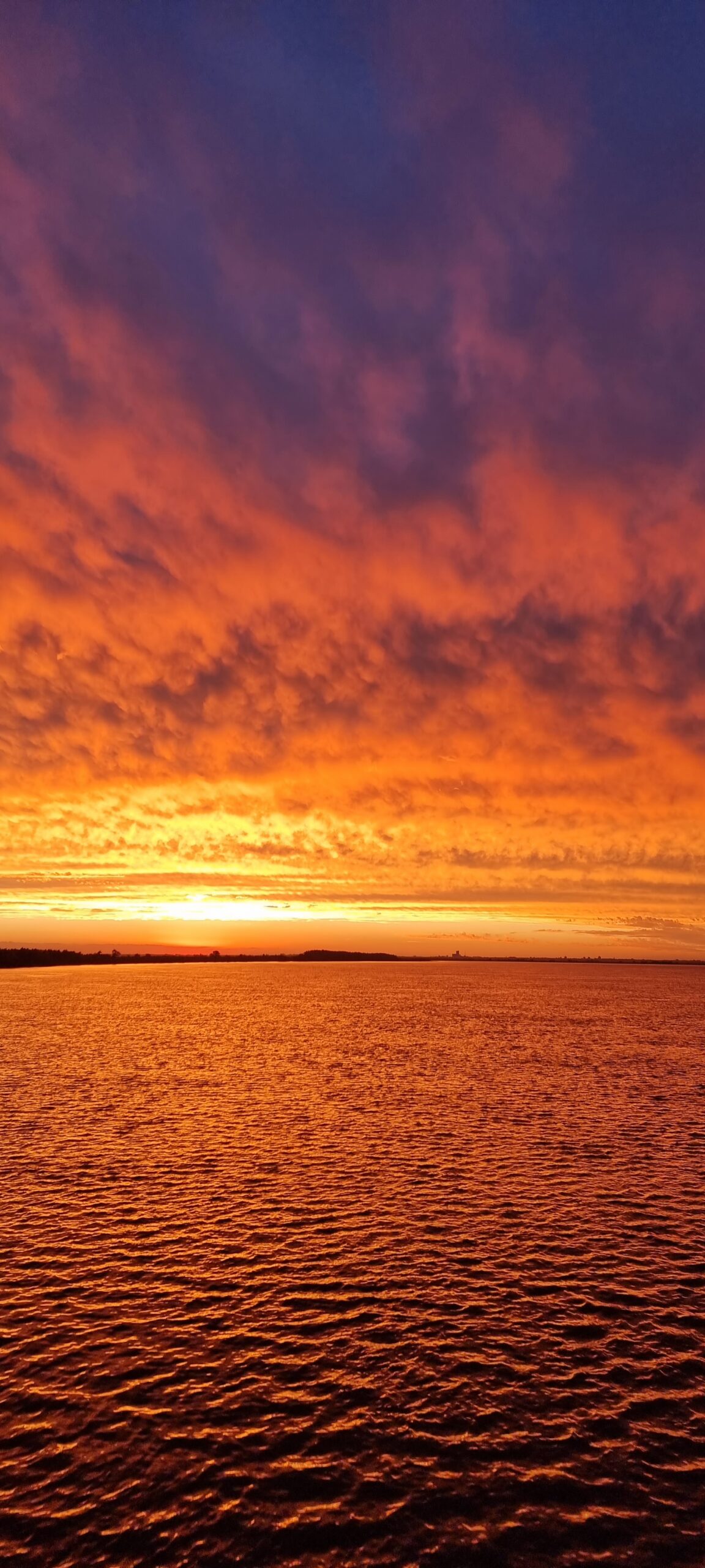 ANUARIO 2021 - SICONARA